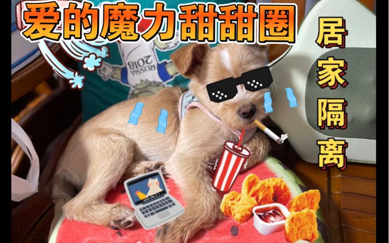 爱的魔力甜甜圈破解版图标