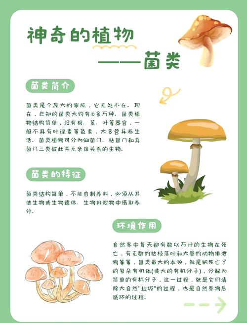 从蘑菇开始的进化图标