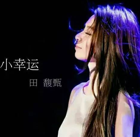 小幸运田馥甄图标