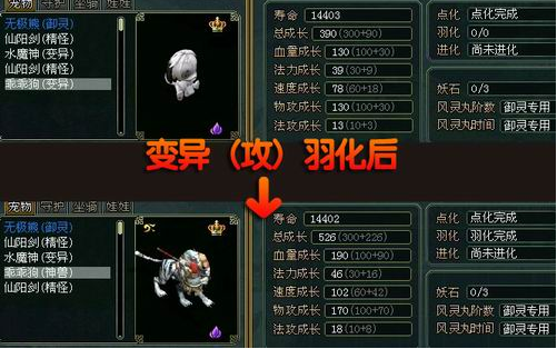 问道手游强10宠物跟变异图标