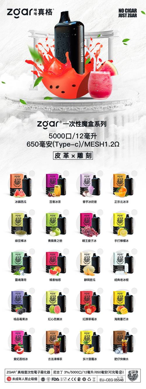 子阳轻体v15下载美化包图标