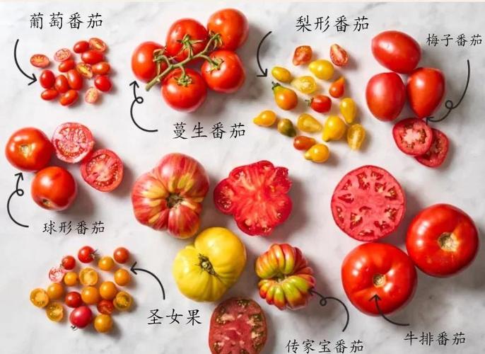 番茄有籽好还是无籽好图标