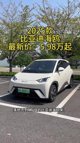 海鸥汽车价格及图片图标