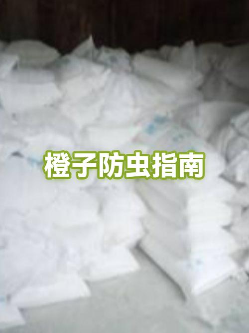 一岁多多宝宝吃橙子带皮吃有事吗图标