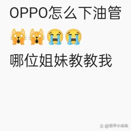 怎么登录油管截图