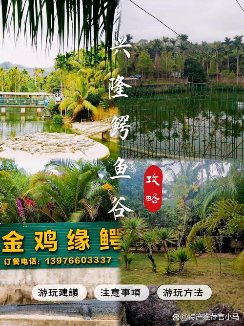 鳄人谷项目可靠么图标