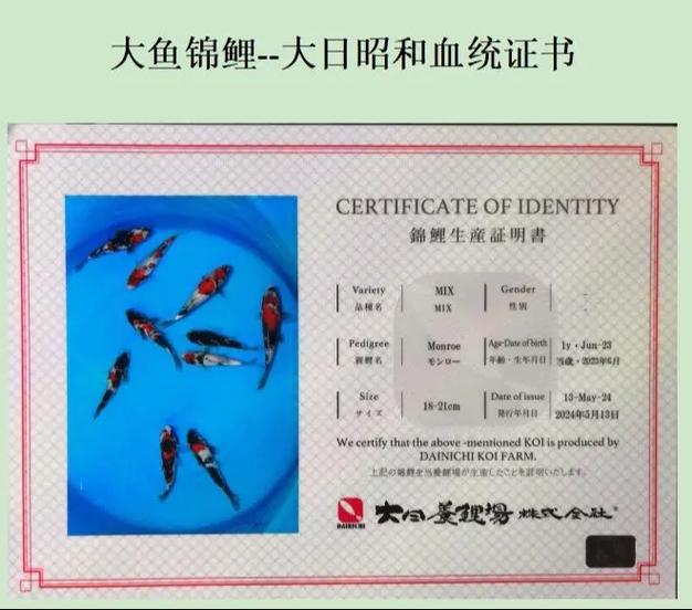 钓臺锦鲤53度多少钱图标