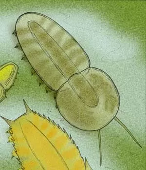 微信群怎么隐藏不让别人看图标