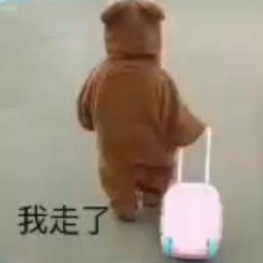 抖音表情包我走了