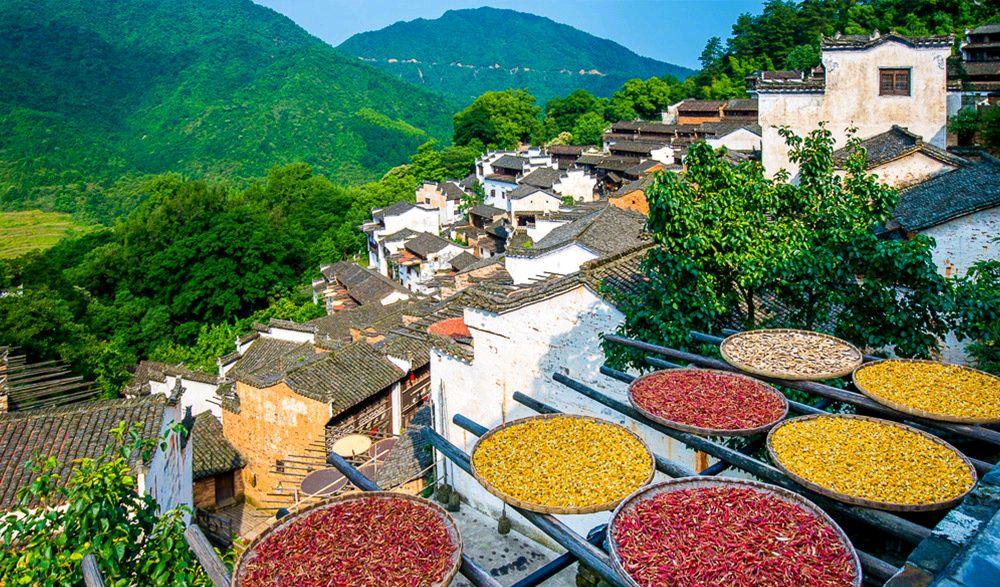 中国的鲜花小镇截图