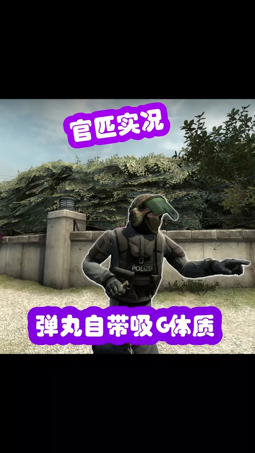 csgo官匹下载回放方法图标