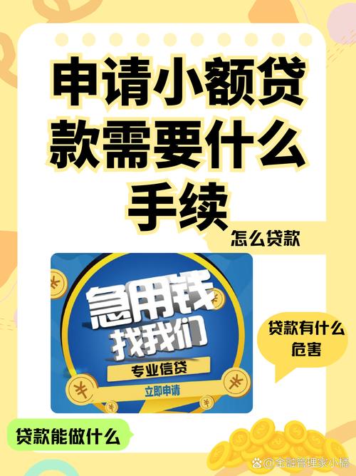就是.skin贷款截图