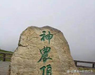神农采app下载官方网站图标