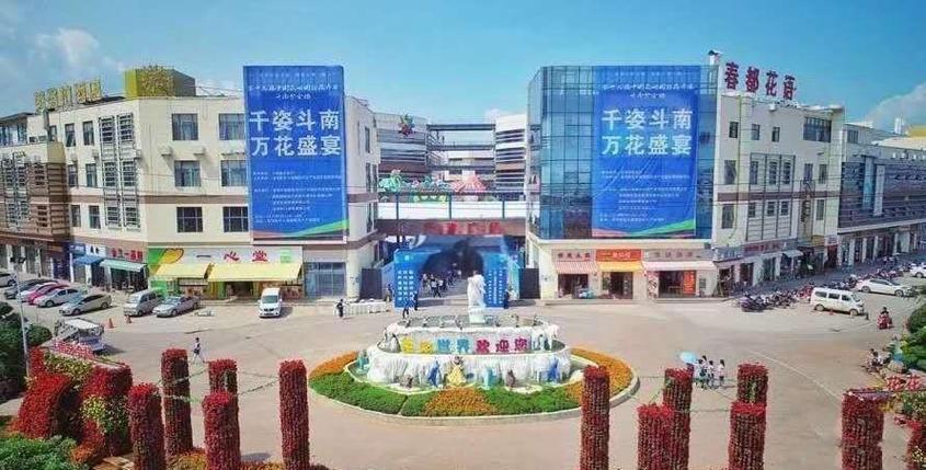 花都花卉批发市场地址图标
