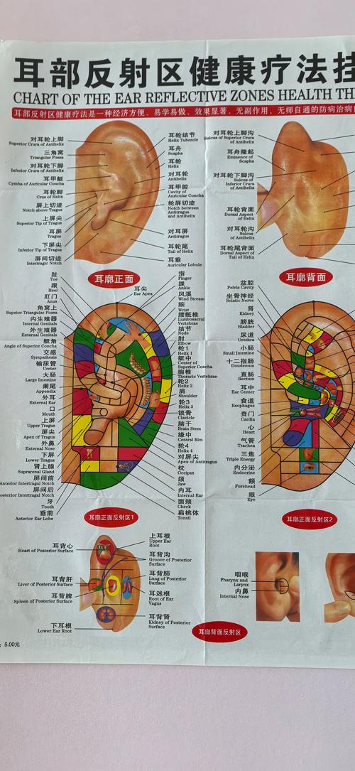 七窍玲珑(耳根)完整版图标