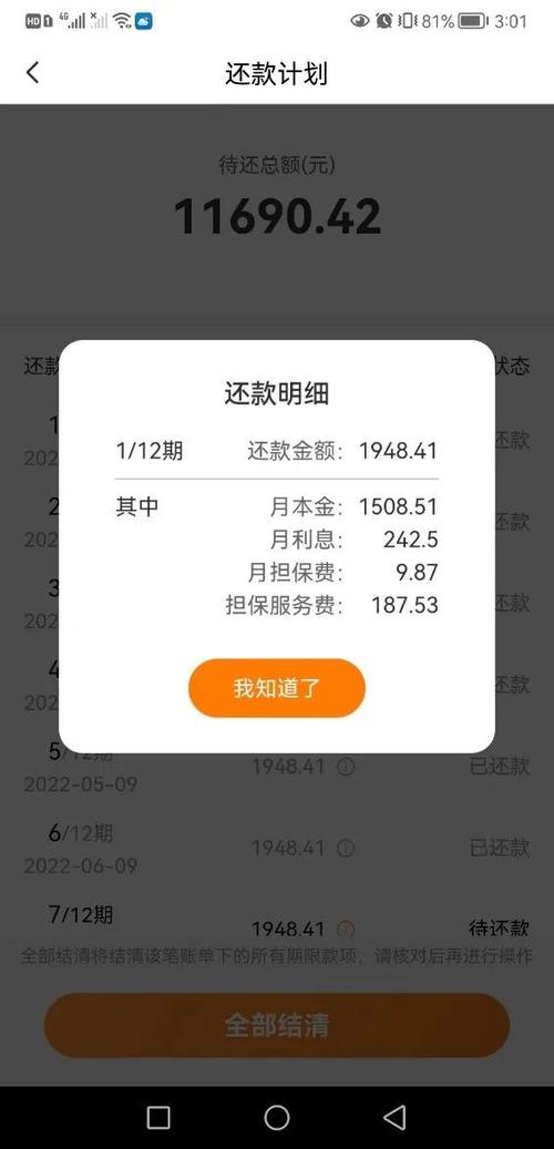 豆豆钱主动还款成功截图