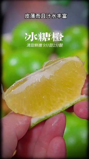 冰糖橙有几种品种截图