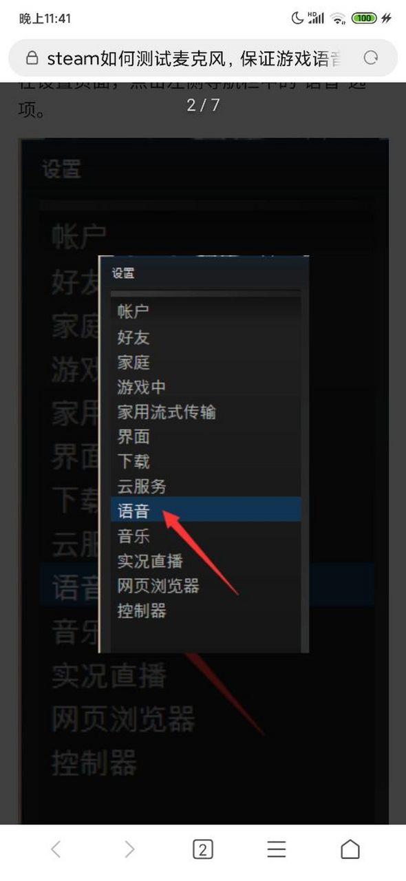 steam语音设置在哪