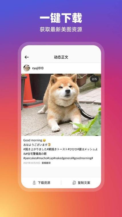 instagram最新版本2023图标