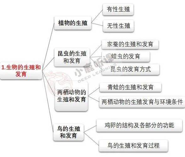 初一生物难吗缩略图