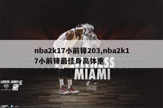 2k17小前锋完美身材