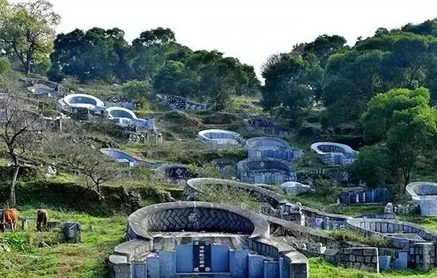 墓地标准尺寸图标
