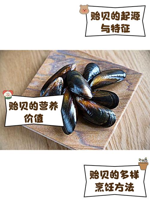 小贝是什么意思图标