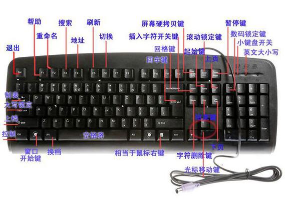 退格键的功能是什么图标