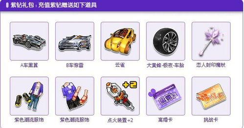 qq飞车紫钻年费送多少成长值截图