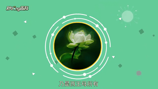 五大鸿蒙先天灵根图标
