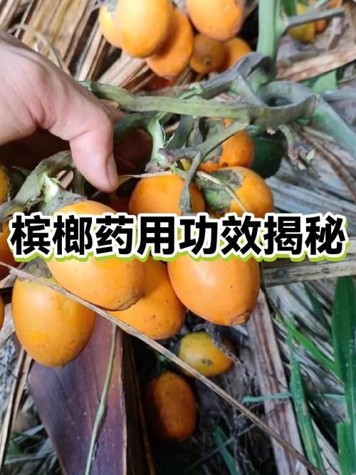 推销槟榔套路报警有用吗图标