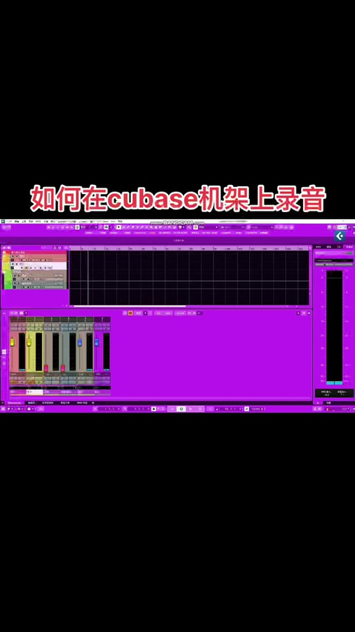 cubase立体声录音只有右声道截图
