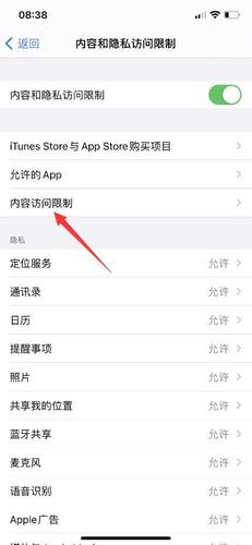 苹果访问限制怎么关闭图标
