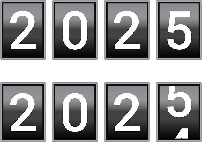 2025春节倒计时器截图
