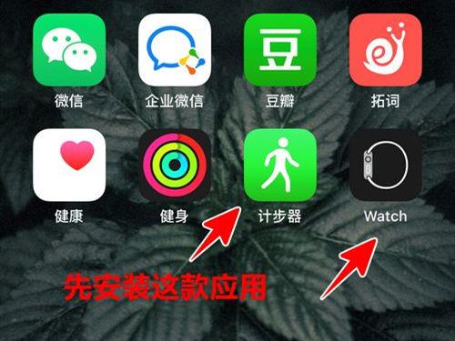 手表步数和手机步数如何同步图标