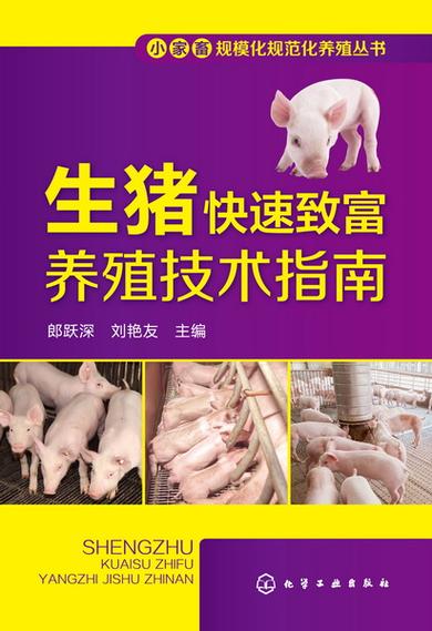 如何快速赚钱方法图标