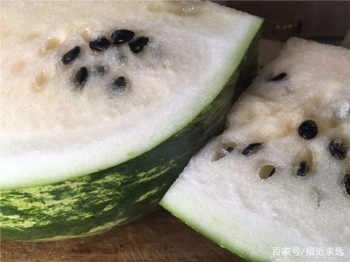 白色黑子吃的一种东西是什么图标