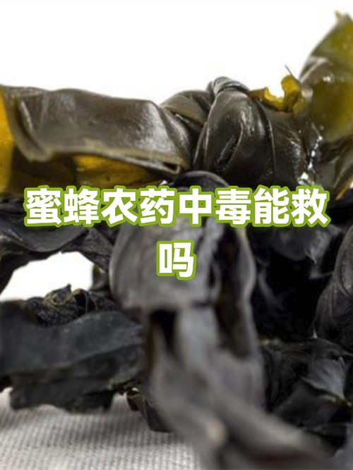 冲群蜂多久才恢复正常截图