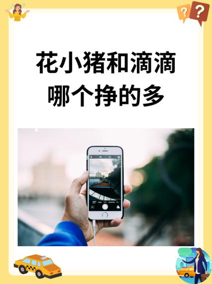 花小猪司机端考试答案截图