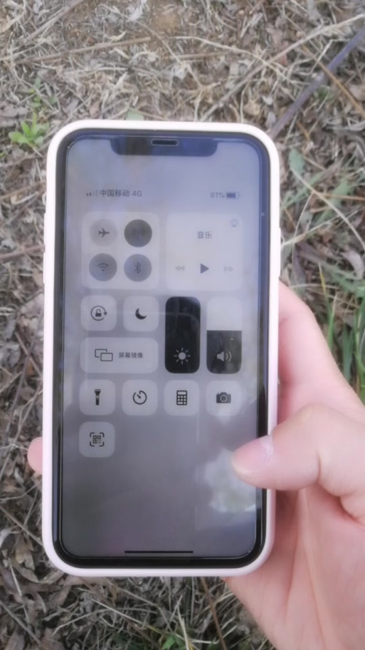 苹果手机灰屏了但可以用怎么办