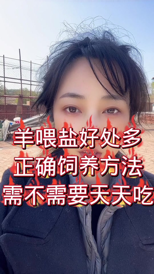 养羊喂盐正确方法图标