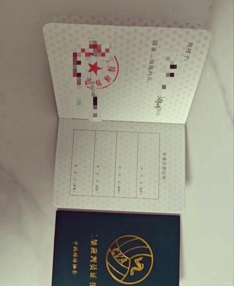 排球二级裁判证图标