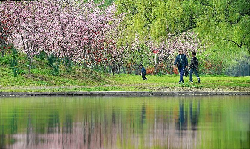 光景一时新截图