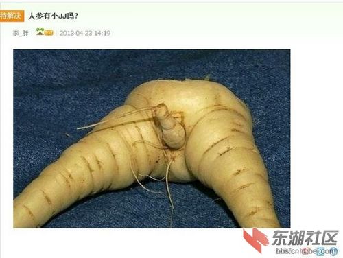 搞笑有趣的表情图图标