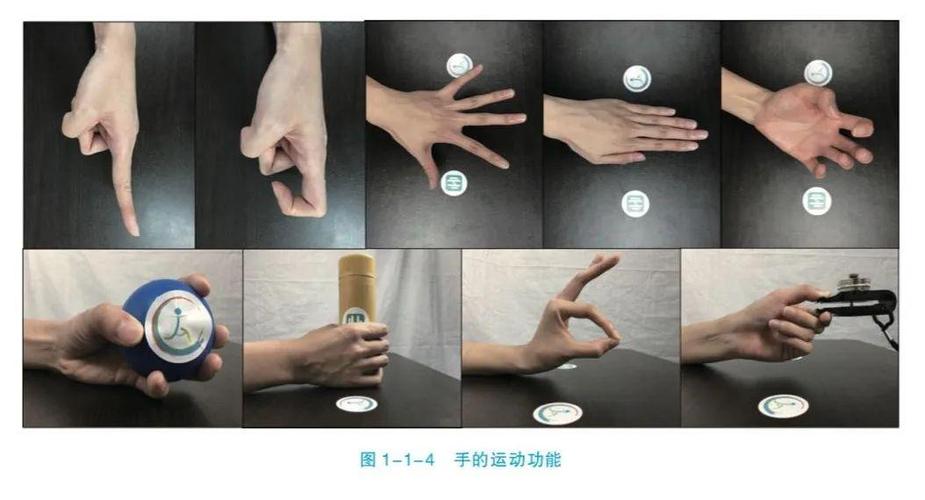 手的功能性位置图标