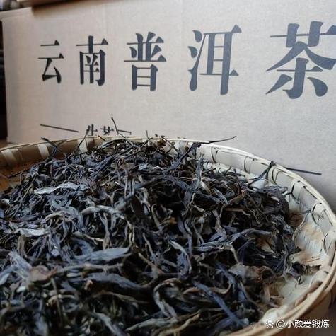 普洱茶属于哪类茶图标