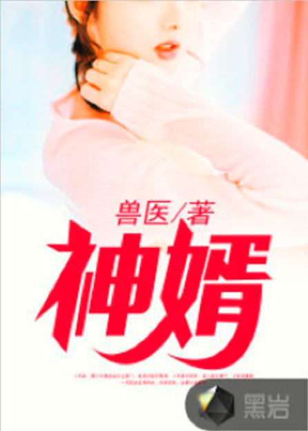 神婿叶凡免费全文阅读无广告图标