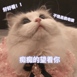 望字打一生肖图标