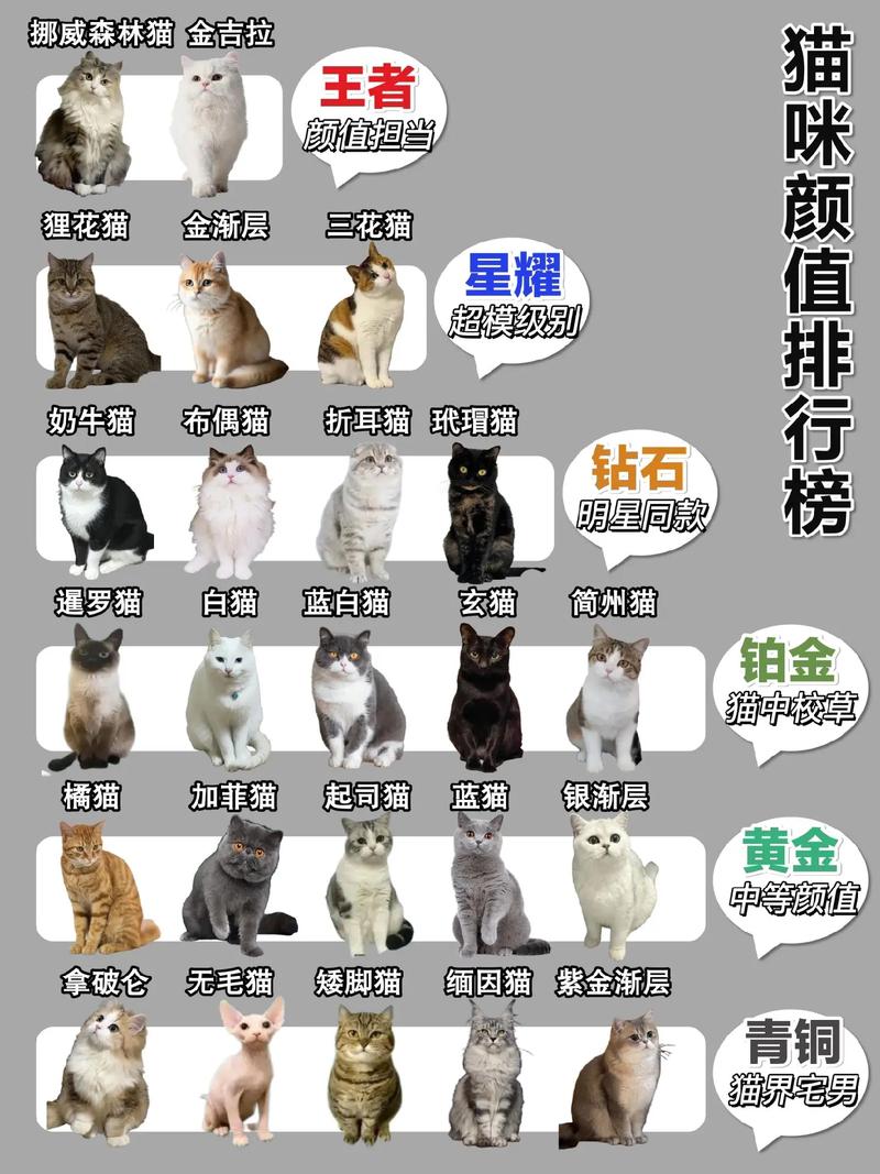 最萌宠物30排名图标