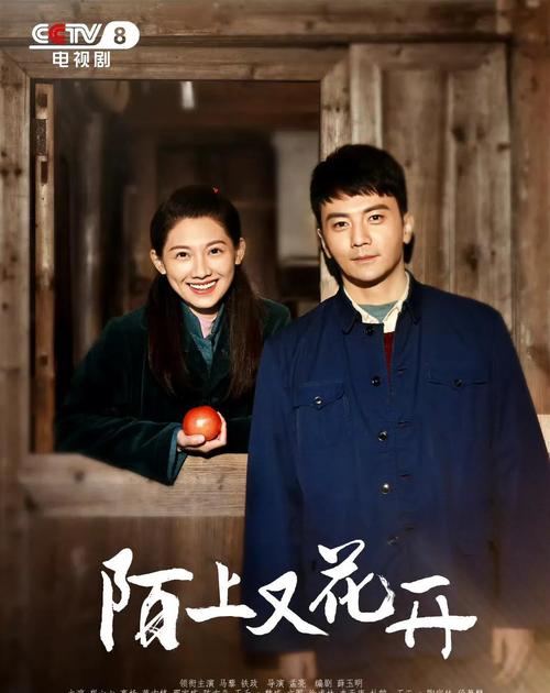 今晚央视8套电视剧图标